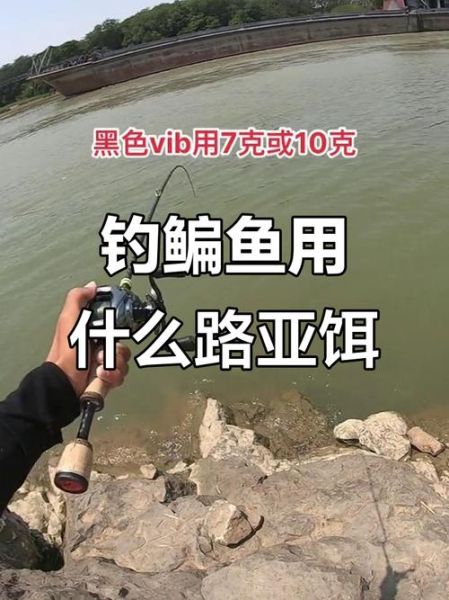 鳊鱼怎么钓_鳊鱼吃什么饵料-第1张图片-山城妙识 鳊鱼怎么钓_鳊鱼吃什么饵料-第1张图片-山城妙识