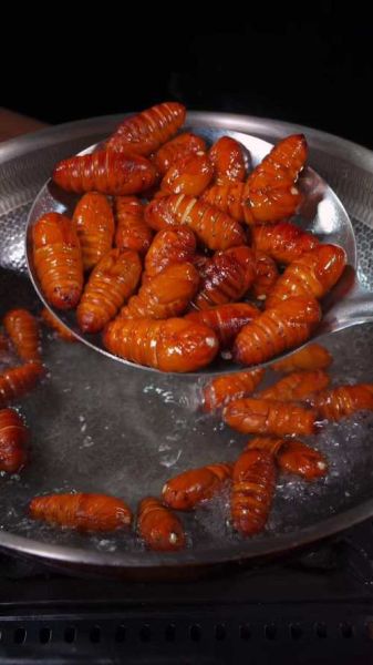 蚕蛹怎么煮_蚕蛹煮多久才熟-第3张图片-山城妙识 蚕蛹怎么煮_蚕蛹煮多久才熟-第3张图片-山城妙识