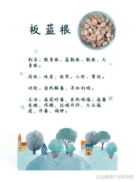 长期喝板蓝根的后果_板蓝根能天天喝吗-第2张图片-山城妙识 长期喝板蓝根的后果_板蓝根能天天喝吗-第2张图片-山城妙识