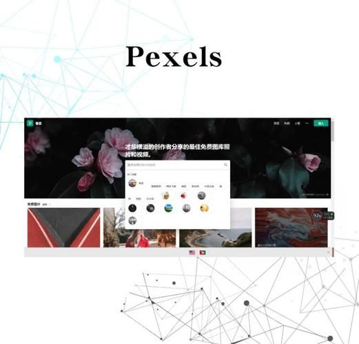 高清图片素材网有哪些_如何免费下载无版权高清图-第3张图片-山城妙识