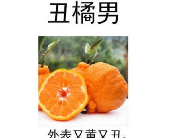 甘蔗男是什么意思_榴莲男是什么意思-第1张图片-山城妙识