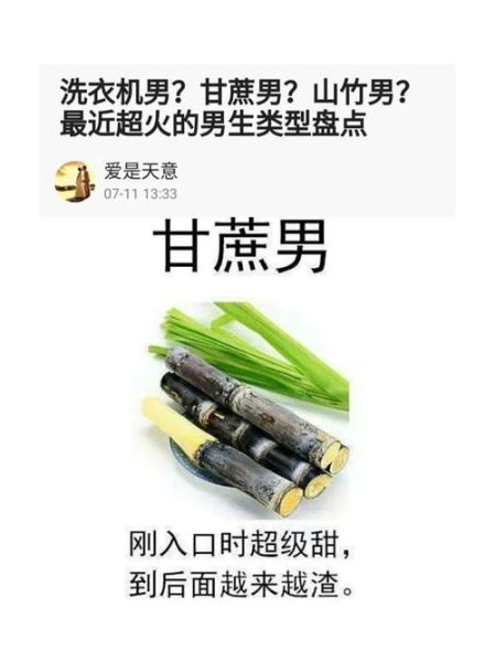 甘蔗男是什么意思_榴莲男是什么意思-第3张图片-山城妙识