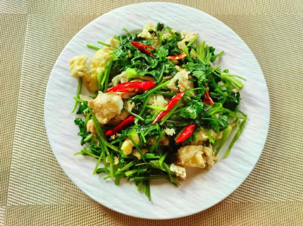 鹅蛋炒香菜的功效与作用_鹅蛋炒香菜能天天吃吗-第1张图片-山城妙识