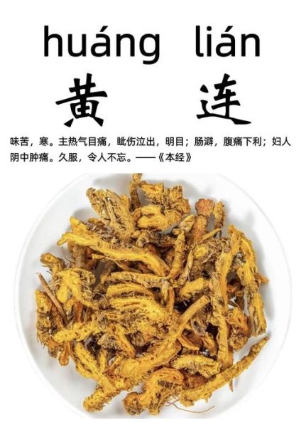 黄连的功效与作用_黄连主治哪些疾病-第2张图片-山城妙识