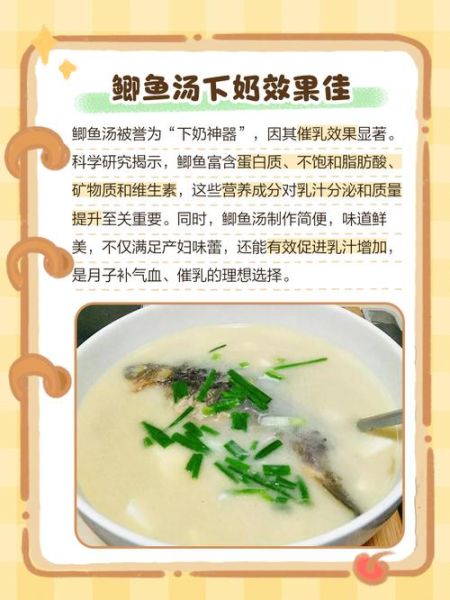 通草鲫鱼汤一天喝几次_产后下奶用量-第3张图片-山城妙识 通草鲫鱼汤一天喝几次_产后下奶用量-第3张图片-山城妙识