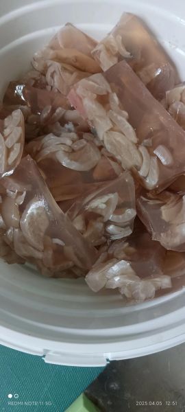 经常吃猪皮冻的危害_吃猪皮冻会长胖吗-第3张图片-山城妙识 经常吃猪皮冻的危害_吃猪皮冻会长胖吗-第3张图片-山城妙识