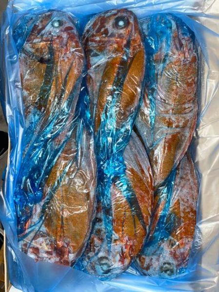 长寿鱼多少钱一斤青岛_青岛哪里买长寿鱼便宜-第2张图片-山城妙识 长寿鱼多少钱一斤青岛_青岛哪里买长寿鱼便宜-第2张图片-山城妙识