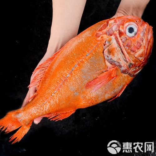 长寿鱼多少钱一斤青岛_青岛哪里买长寿鱼便宜-第3张图片-山城妙识 长寿鱼多少钱一斤青岛_青岛哪里买长寿鱼便宜-第3张图片-山城妙识