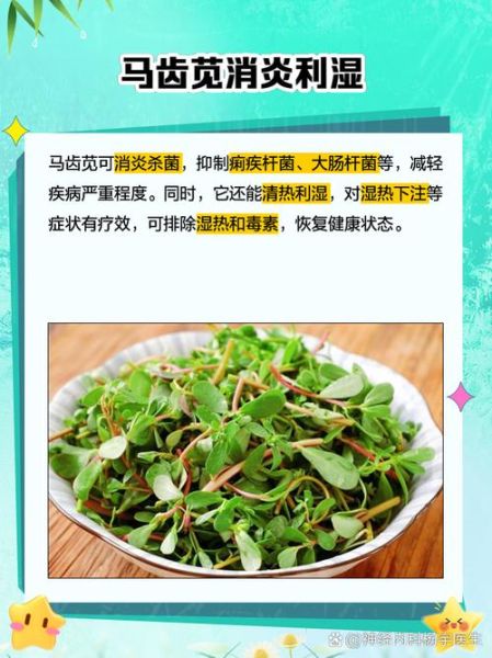 马齿苋的功效和作用是什么_马齿苋怎么吃效果最好-第2张图片-山城妙识
