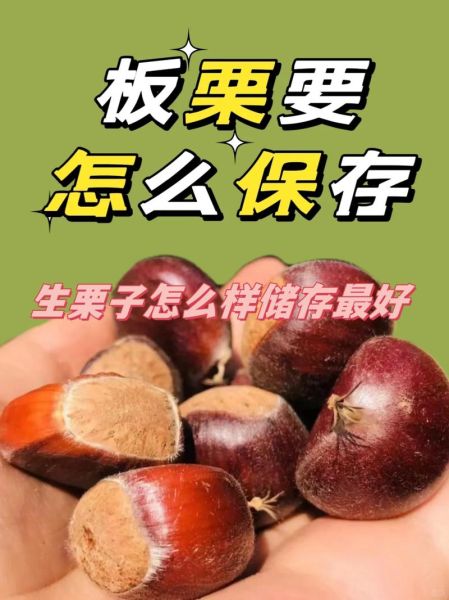鲜栗子怎么保存时间长_鲜栗子可以放冰箱吗-第1张图片-山城妙识