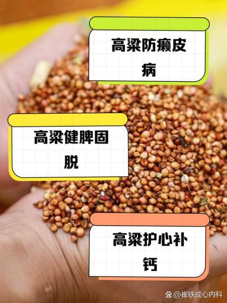 高粱有什么功效与作用_高粱的营养价值及食用禁忌-第1张图片-山城妙识 高粱有什么功效与作用_高粱的营养价值及食用禁忌-第1张图片-山城妙识