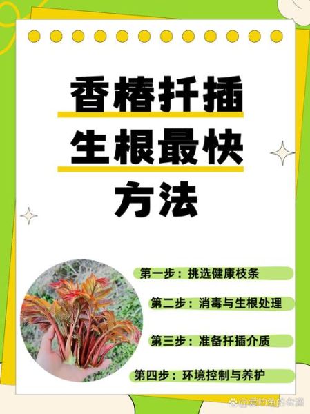 香椿树怎么修剪发芽多_香椿树几月份修剪最合适-第3张图片-山城妙识 香椿树怎么修剪发芽多_香椿树几月份修剪最合适-第3张图片-山城妙识