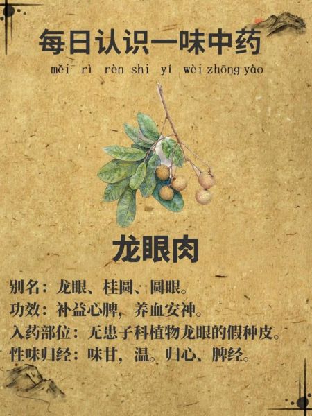 龙眼肉的功效与作用_龙眼肉的主治有哪些-第1张图片-山城妙识 龙眼肉的功效与作用_龙眼肉的主治有哪些-第1张图片-山城妙识