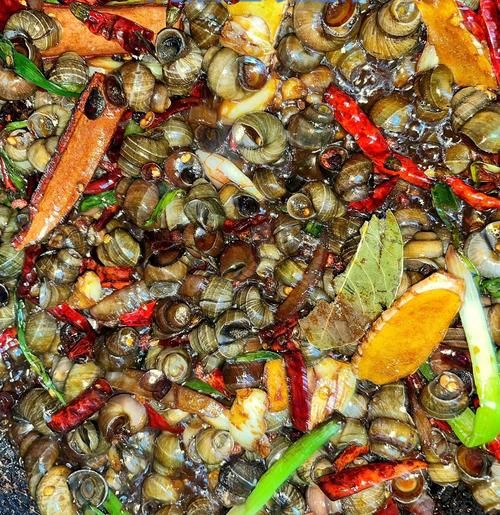 爆炒螺丝要不要焯水_焯水后口感如何-第1张图片-山城妙识 爆炒螺丝要不要焯水_焯水后口感如何-第1张图片-山城妙识