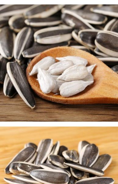 葵瓜子的功效与作用_葵瓜子的禁忌有哪些-第1张图片-山城妙识