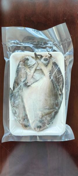 鲳鱼多少钱一斤2020_2020年鲳鱼价格行情-第1张图片-山城妙识 鲳鱼多少钱一斤2020_2020年鲳鱼价格行情-第1张图片-山城妙识