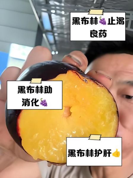 黑布林的功效与禁忌_孕妇能吃吗-第2张图片-山城妙识 黑布林的功效与禁忌_孕妇能吃吗-第2张图片-山城妙识