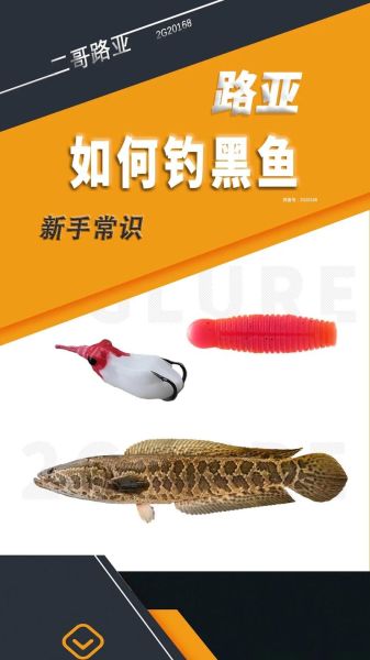 黑鱼怎么钓才容易上钩_黑鱼钓法技巧-第1张图片-山城妙识