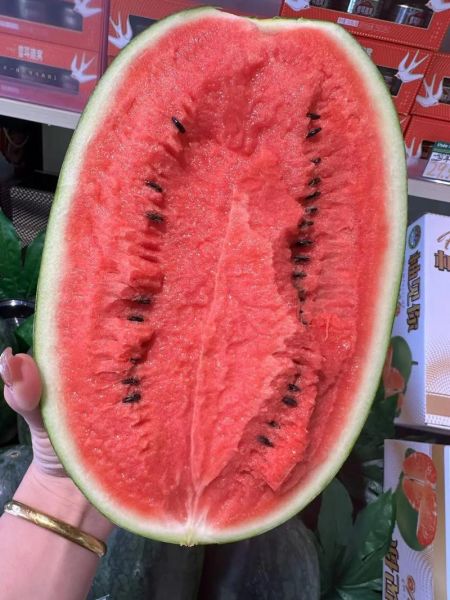 黑美人西瓜怎么挑_黑美人西瓜怎么挑才甜-第1张图片-山城妙识