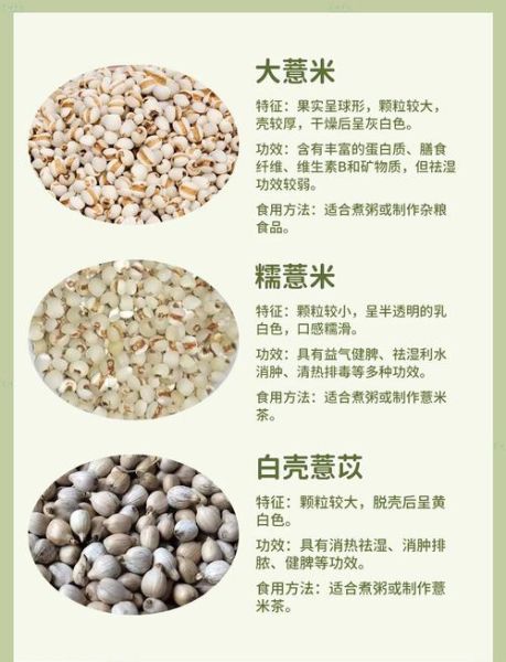 薏米仁的功效与作用_薏米仁怎么吃最祛湿-第1张图片-山城妙识