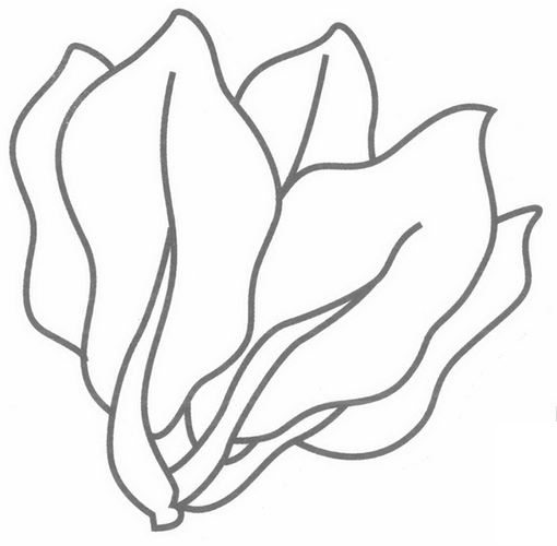 菠菜卡通图片怎么画_菠菜简笔画步骤-第1张图片-山城妙识 菠菜卡通图片怎么画_菠菜简笔画步骤-第1张图片-山城妙识