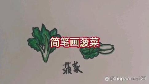 菠菜卡通图片怎么画_菠菜简笔画步骤-第2张图片-山城妙识 菠菜卡通图片怎么画_菠菜简笔画步骤-第2张图片-山城妙识