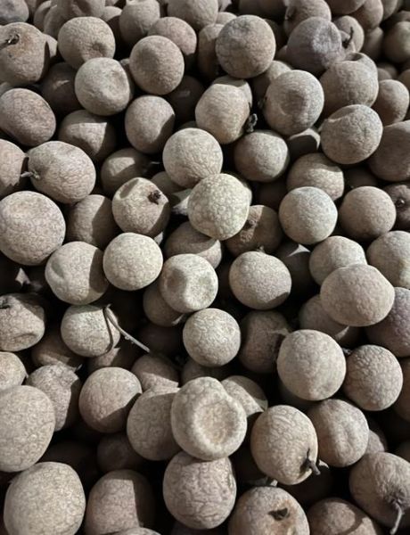 龙眼干怎样晒最快干_龙眼干晒多久能干-第1张图片-山城妙识