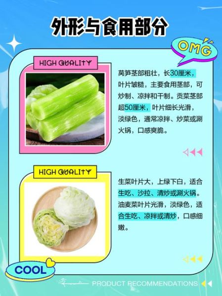 莴苣长什么样子_莴苣叶子和生菜区别-第1张图片-山城妙识