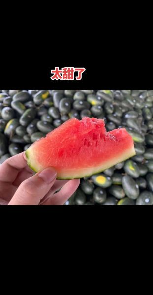 黑美人西瓜多少钱一斤_黑美人西瓜价格行情-第1张图片-山城妙识