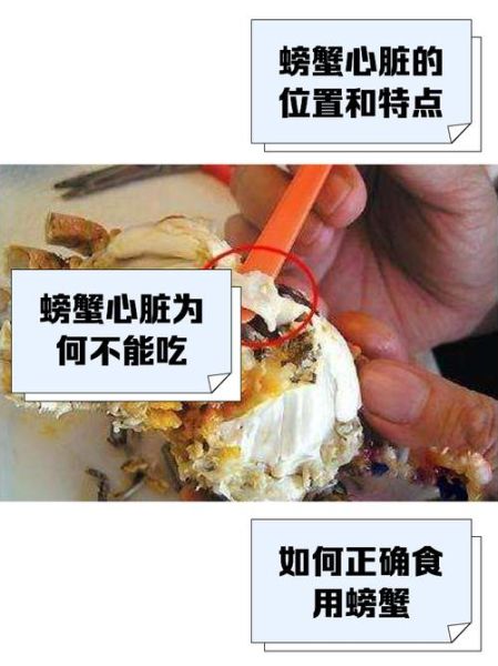 蟹心蟹胃在哪个部位图解_如何快速分辨-第2张图片-山城妙识