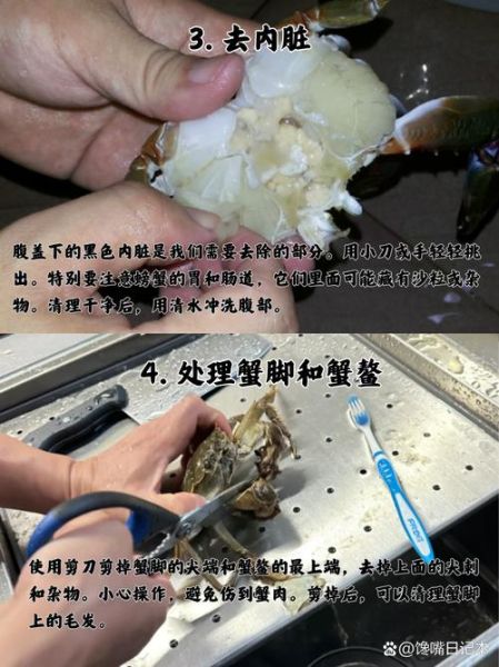 螃蟹怎么清洗才干净_螃蟹清洗步骤-第1张图片-山城妙识