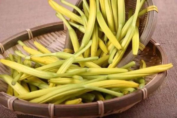 黄花菜中毒症状多久缓解_黄花菜中毒怎么办-第2张图片-山城妙识