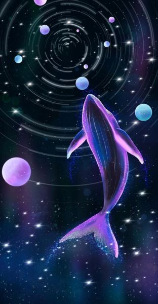 鲸鱼卡通图片唯美_怎么画才梦幻-第3张图片-山城妙识