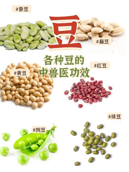 豆类大全图片及名字_常见豆类有哪些-第2张图片-山城妙识 豆类大全图片及名字_常见豆类有哪些-第2张图片-山城妙识