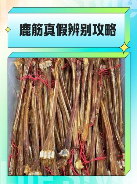 鹿筋的功效与作用_鹿筋怎么吃效果最好-第3张图片-山城妙识 鹿筋的功效与作用_鹿筋怎么吃效果最好-第3张图片-山城妙识