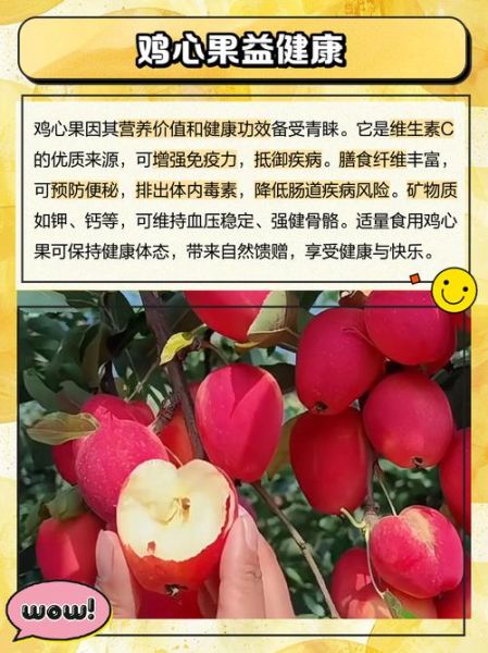 鸡心的营养价值及危害_鸡心吃多了有什么坏处-第3张图片-山城妙识 鸡心的营养价值及危害_鸡心吃多了有什么坏处-第3张图片-山城妙识