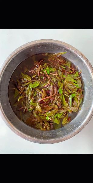 香椿炒蛋怎么炒_香椿炒蛋先炒蛋还是先炒香椿-第3张图片-山城妙识 香椿炒蛋怎么炒_香椿炒蛋先炒蛋还是先炒香椿-第3张图片-山城妙识