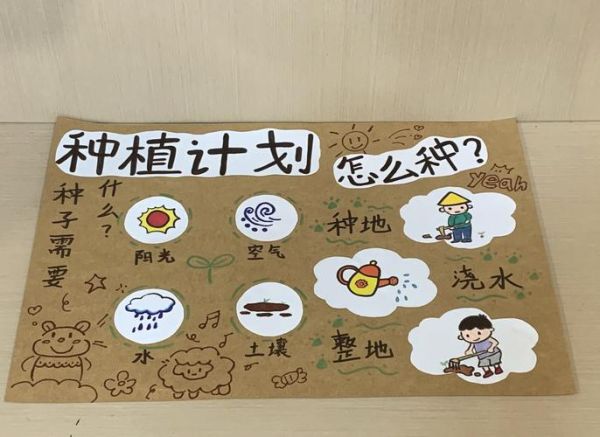 黄豆的生长过程_黄豆几天发芽-第1张图片-山城妙识 黄豆的生长过程_黄豆几天发芽-第1张图片-山城妙识