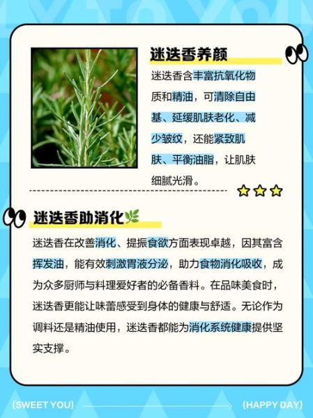 迷迭香提取物对皮肤的作用_迷迭香提取物怎么使用-第3张图片-山城妙识 迷迭香提取物对皮肤的作用_迷迭香提取物怎么使用-第3张图片-山城妙识