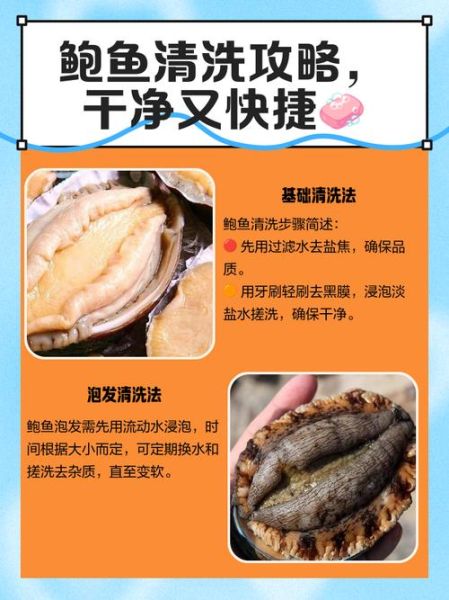 鲍鱼怎么杀_鲍鱼清洗视频步骤-第3张图片-山城妙识 鲍鱼怎么杀_鲍鱼清洗视频步骤-第3张图片-山城妙识