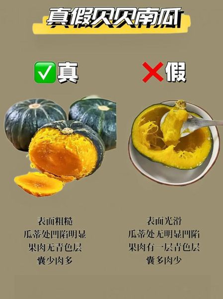 食品安全知识大全_如何辨别变质食品-第1张图片-山城妙识 食品安全知识大全_如何辨别变质食品-第1张图片-山城妙识