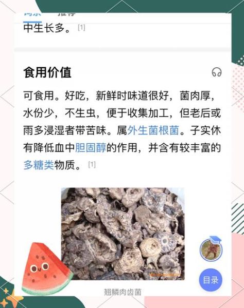 虎掌菌多少钱一斤_虎掌菌价格为什么差距大-第3张图片-山城妙识 虎掌菌多少钱一斤_虎掌菌价格为什么差距大-第3张图片-山城妙识