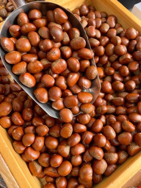 糖炒板栗家庭做法窍门_怎样炒出开口笑板栗-第1张图片-山城妙识 糖炒板栗家庭做法窍门_怎样炒出开口笑板栗-第1张图片-山城妙识