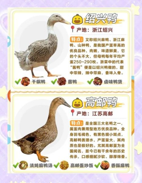 鸭肉的营养价值及功效与作用禁忌_什么人不能吃鸭肉-第1张图片-山城妙识