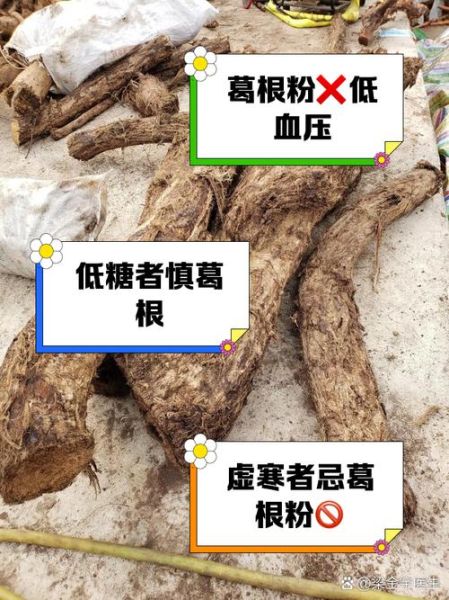 葛根粉的功效与禁忌_哪些人不能吃葛根粉-第2张图片-山城妙识