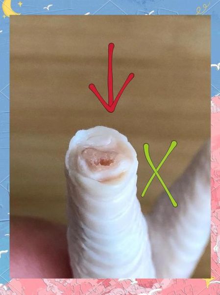 鸡爪怎么去骨比较快_鸡爪去骨最快方法-第2张图片-山城妙识