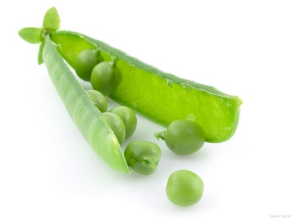 豌豆图片高清_如何拍摄豌豆细节特写-第1张图片-山城妙识
