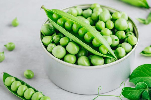 豌豆图片高清_如何拍摄豌豆细节特写-第2张图片-山城妙识