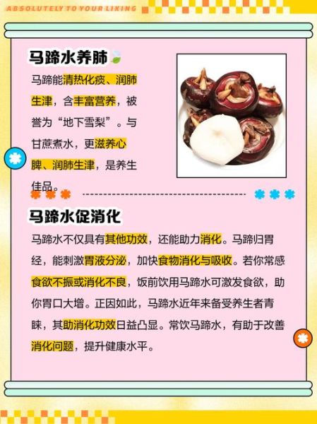 马蹄水怎么做_马蹄水有什么功效-第1张图片-山城妙识