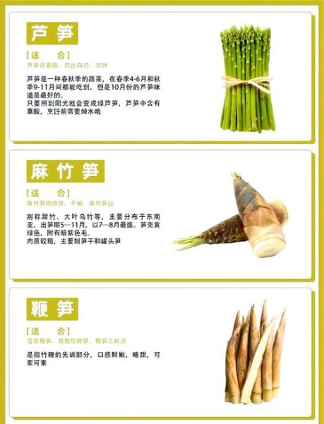竹笋的功效与作用_竹笋的禁忌人群有哪些-第3张图片-山城妙识